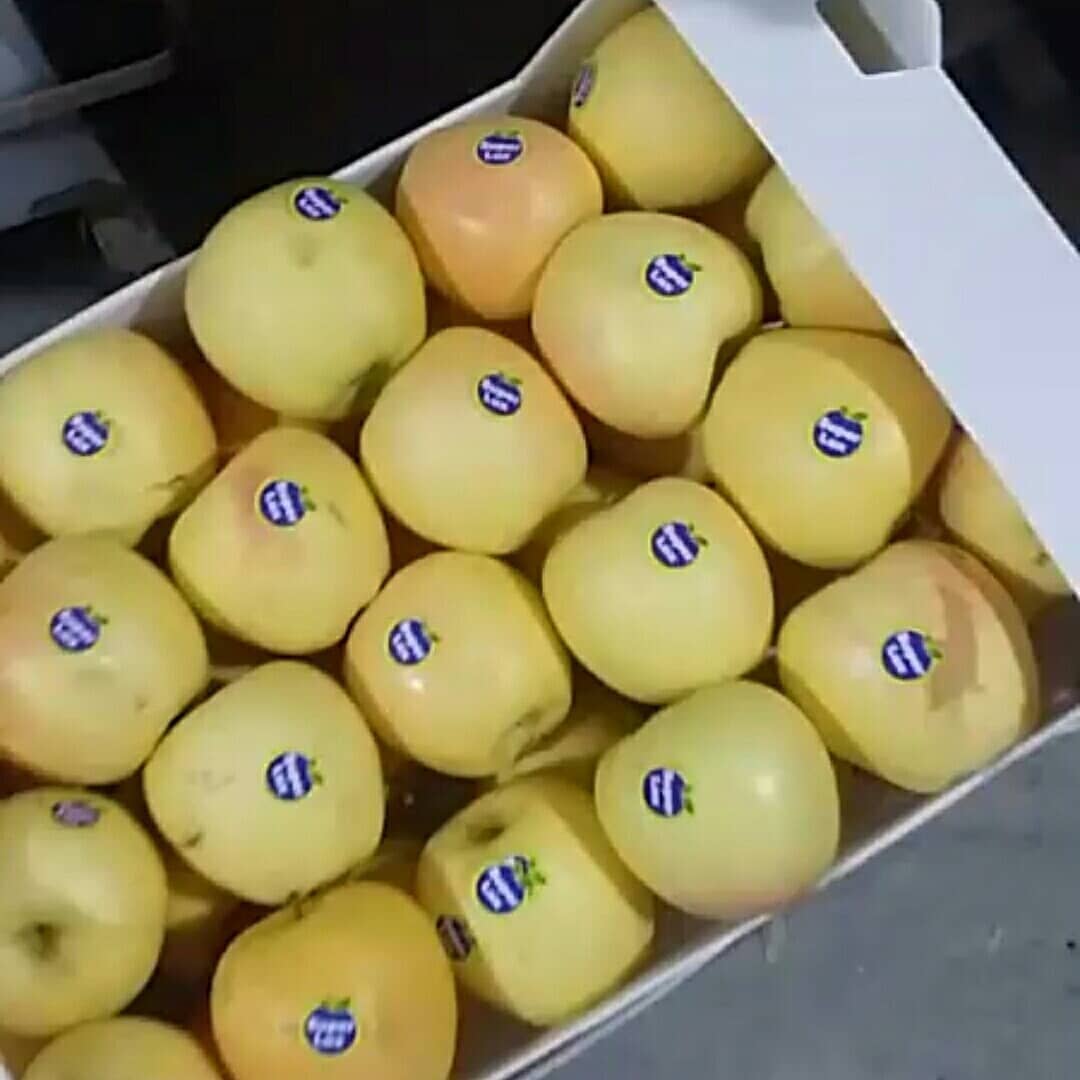 Saab Iran supplier. Products in bulk and services on Qoovee Market